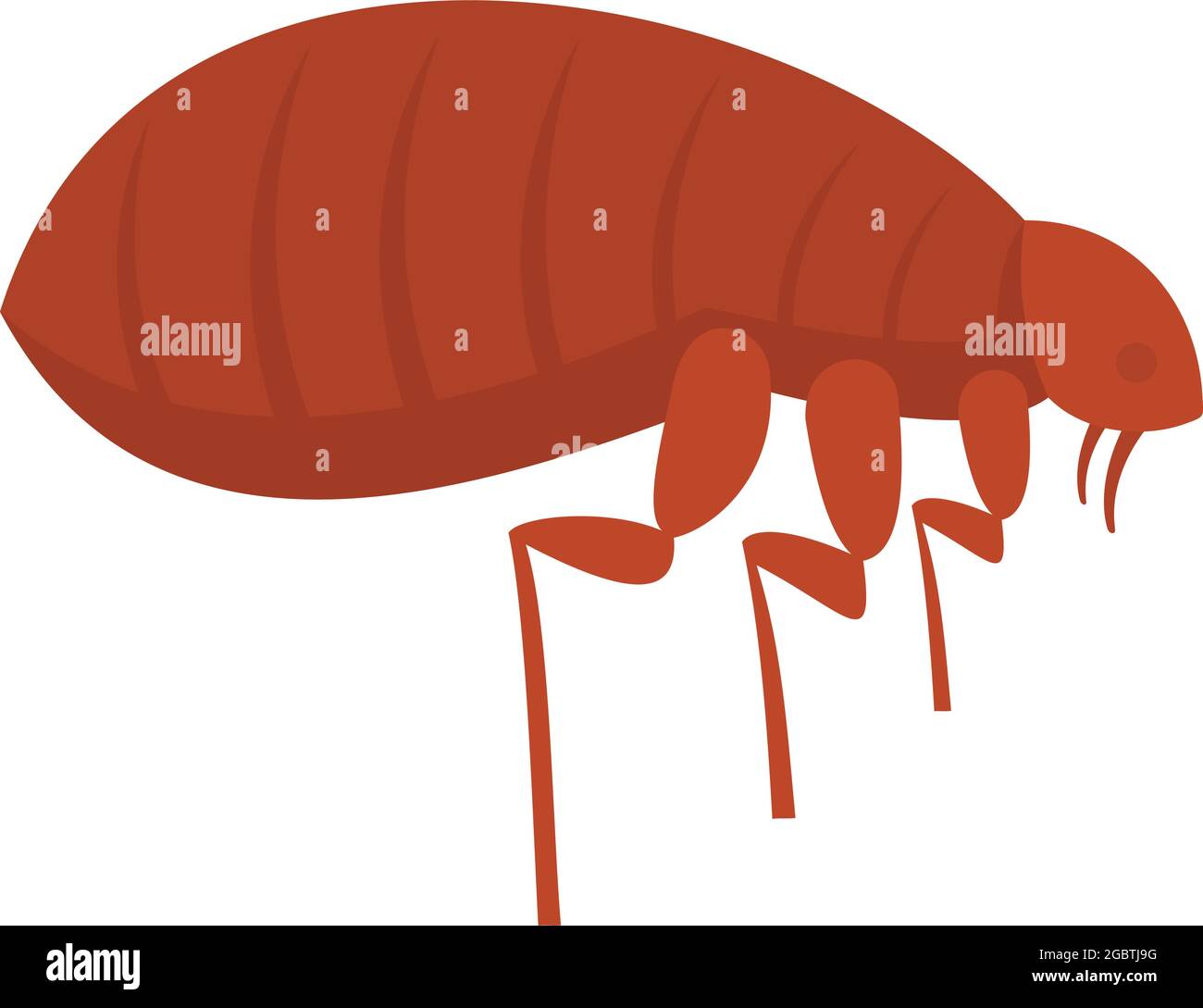 Parasite bug icon. Flat illustration of parasite bug vector icon ...
