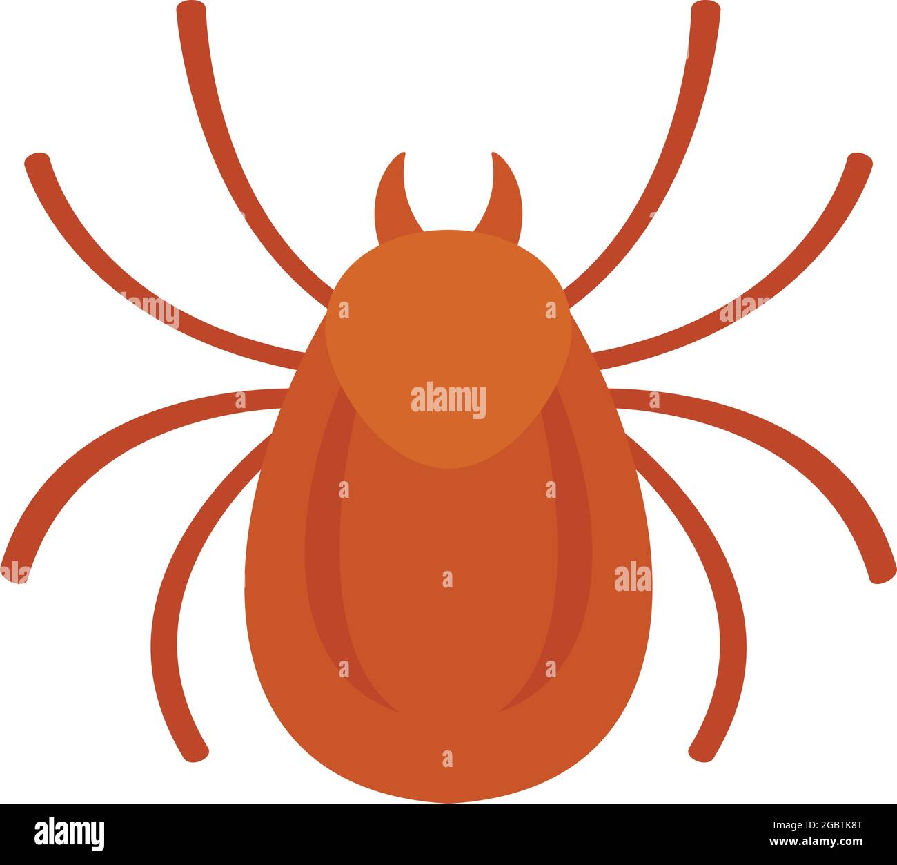 Forest bug icon. Flat illustration of forest bug vector icon isolated ...