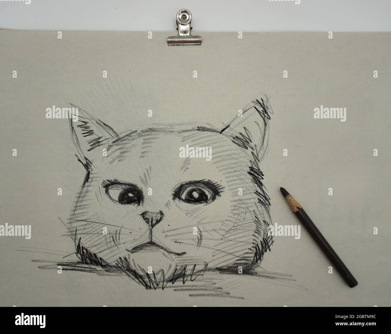 Practice drawing lines. Drawing quickly is the practice of seeing the ...