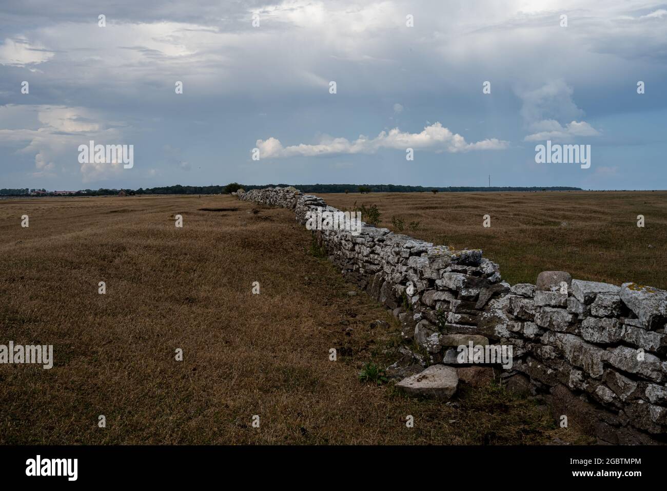 A limestone wall in a moor landscape. Picture from the Baltic Sea ...
