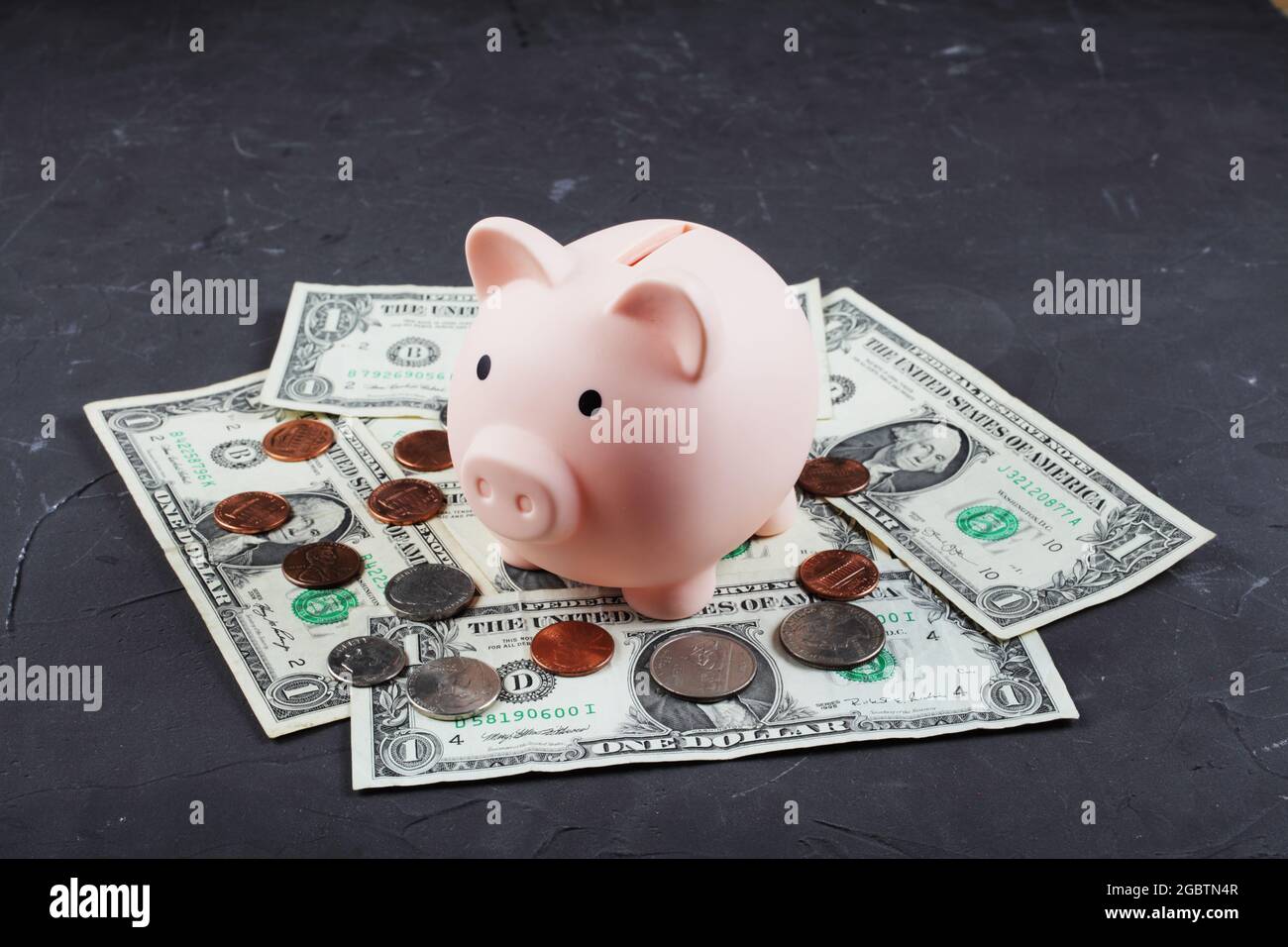 piggy bank a pig stands on one-dollar bills spread on a concrete floor ...