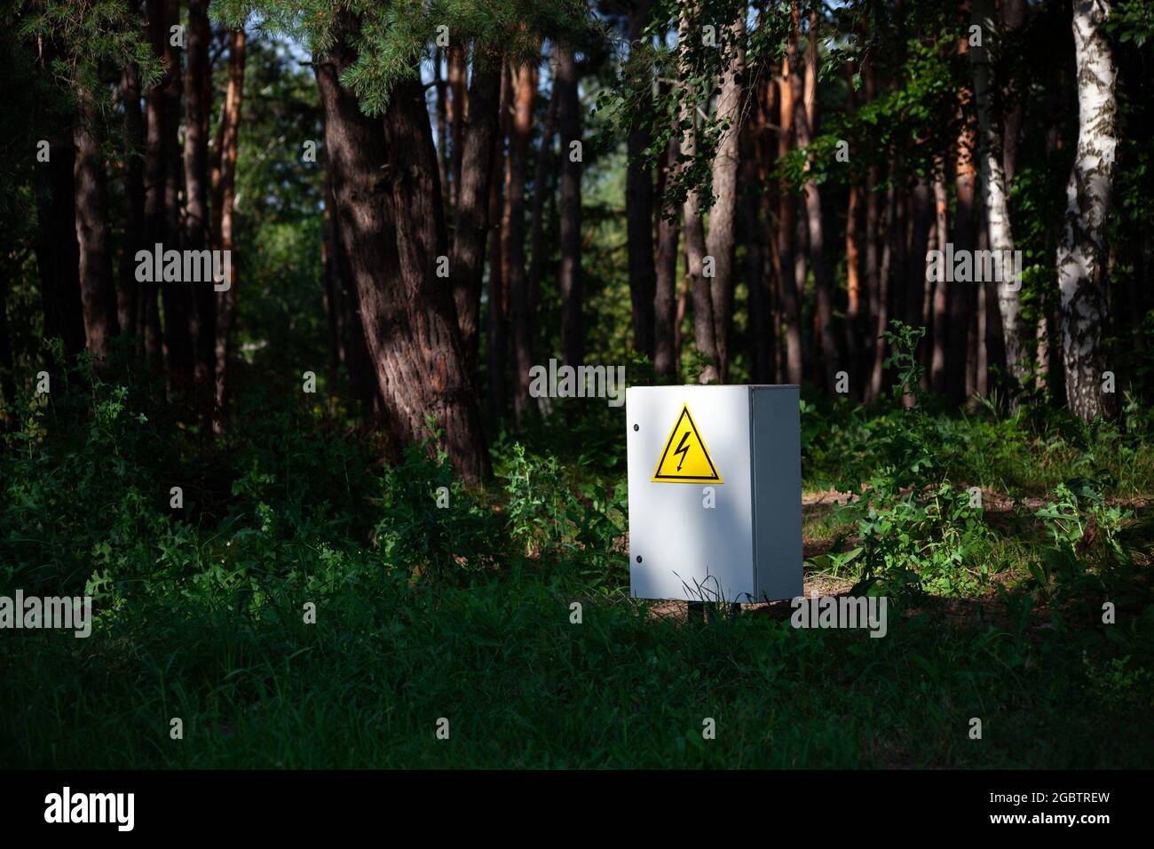 Grey Hinged Power Supply Box in the forest. Outside electrical box with ...