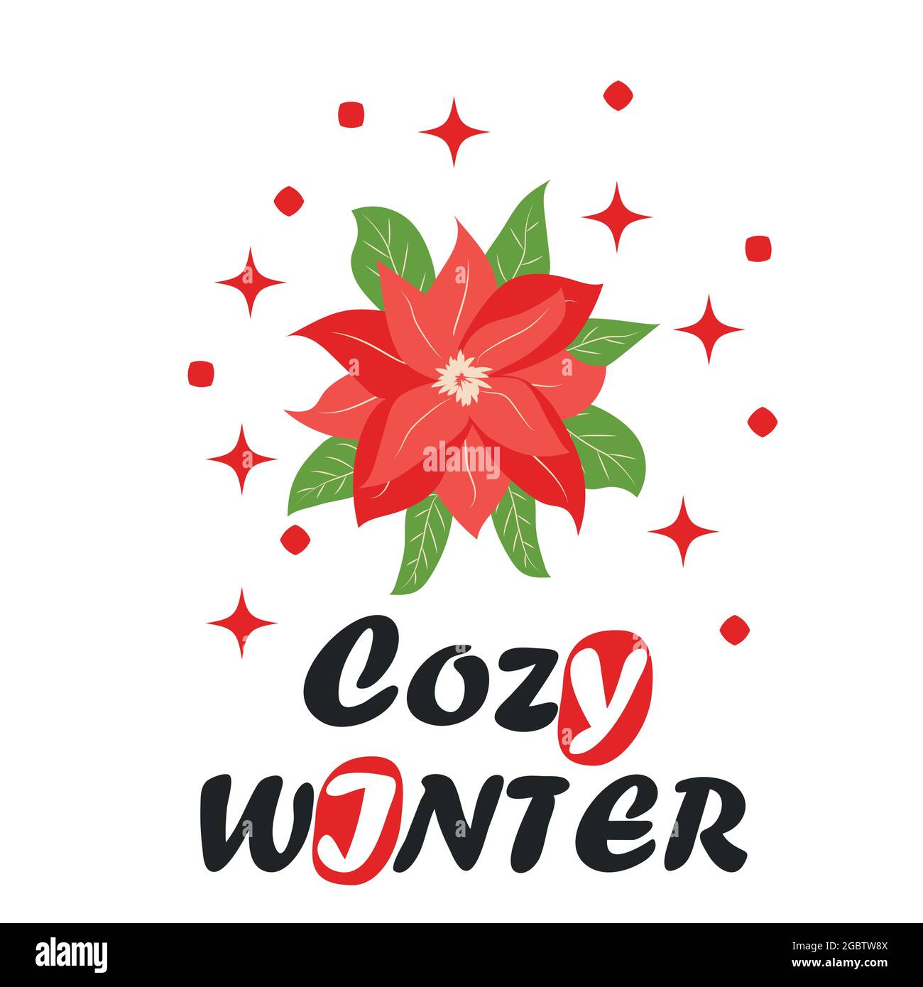 Traditional Christmas poinsettia flower with green leaves and red ...