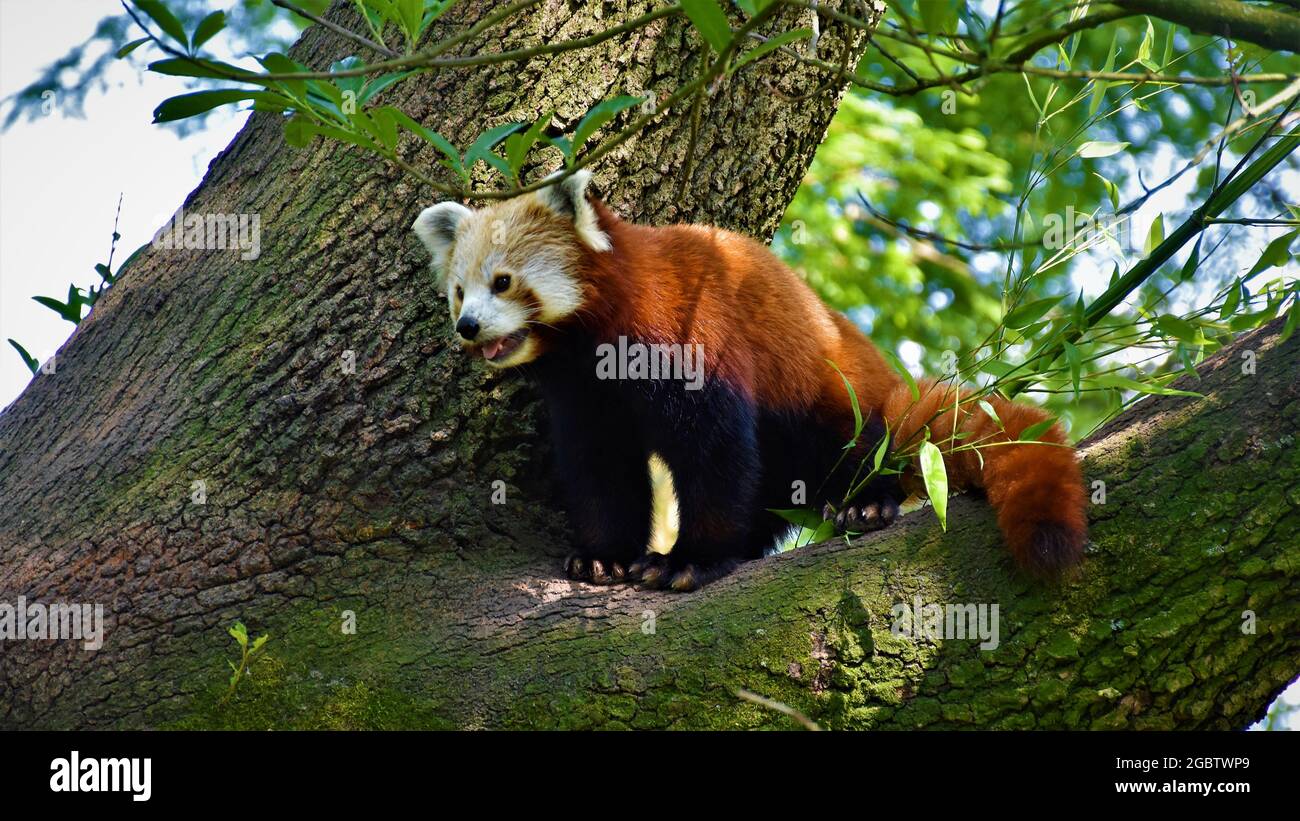 Photos taken at the zoo in Rotterdam. Hot day, lots of light and ...
