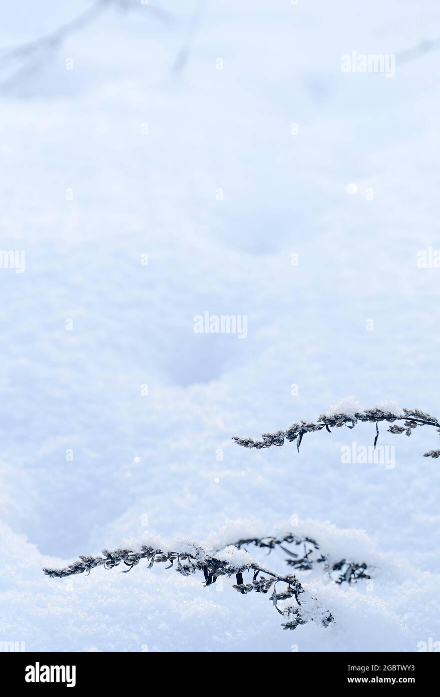 White blue snowy landscape outdoors abstract background Stock Photo - Alamy