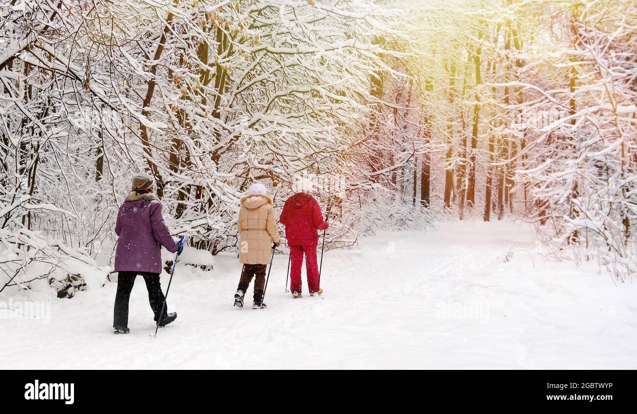 Nordic walking in the snowy winter park Stock Photo - Alamy