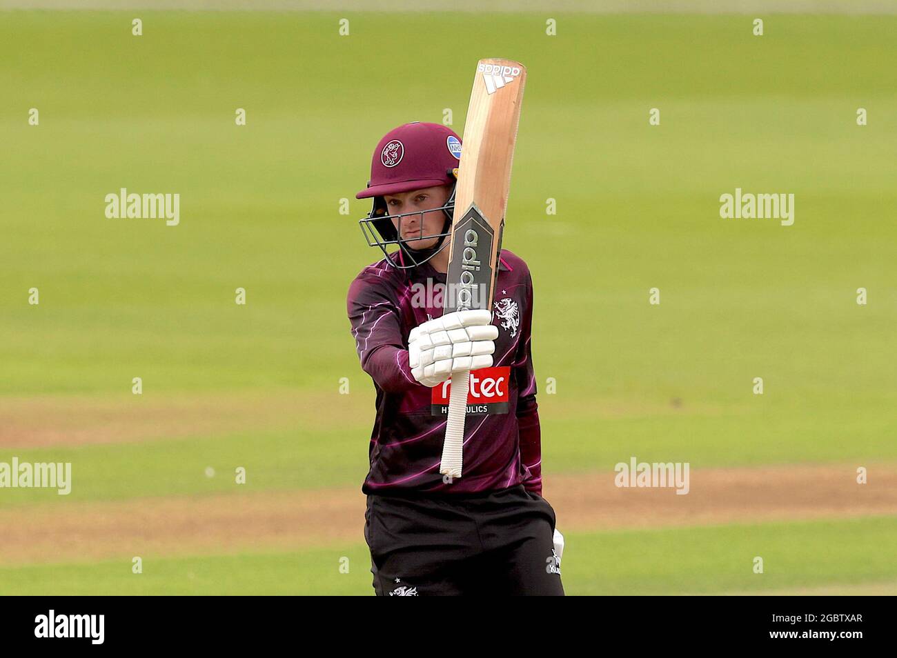 Cricket somerset goldsworthy hi-res stock photography and images - Alamy