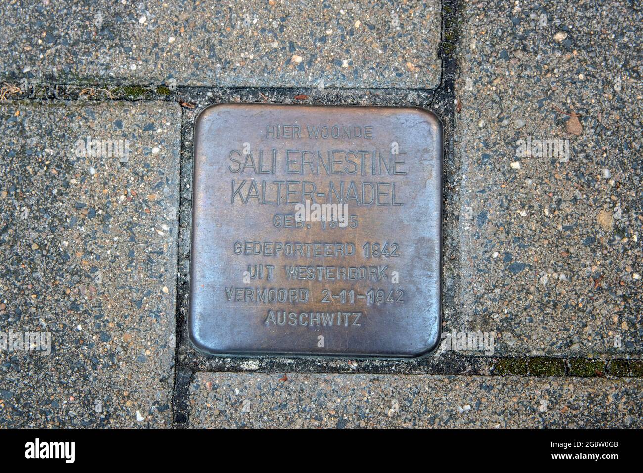Stolperstein Memorial Stone From Sali Ernestine Kalter-Nadel At ...