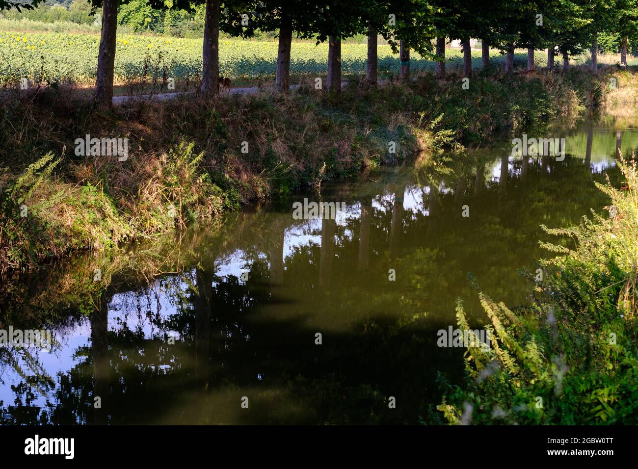 Reflection landscape hi-res stock photography and images - Alamy