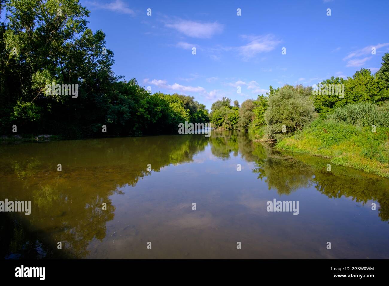 Quiet river waters on a river landscape in a green forest under a blue ...