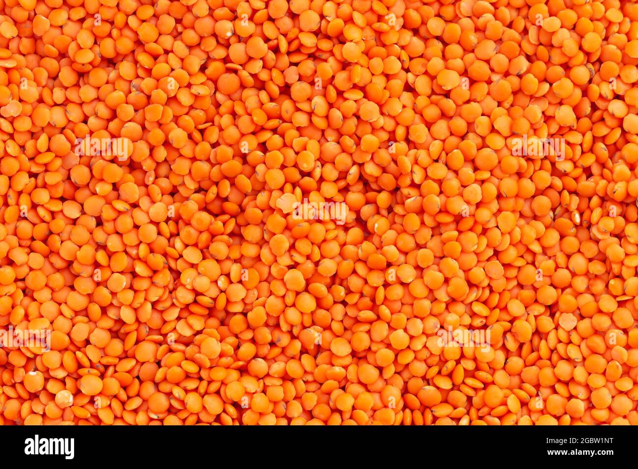 Lentil wallpaper hi-res stock photography and images - Alamy
