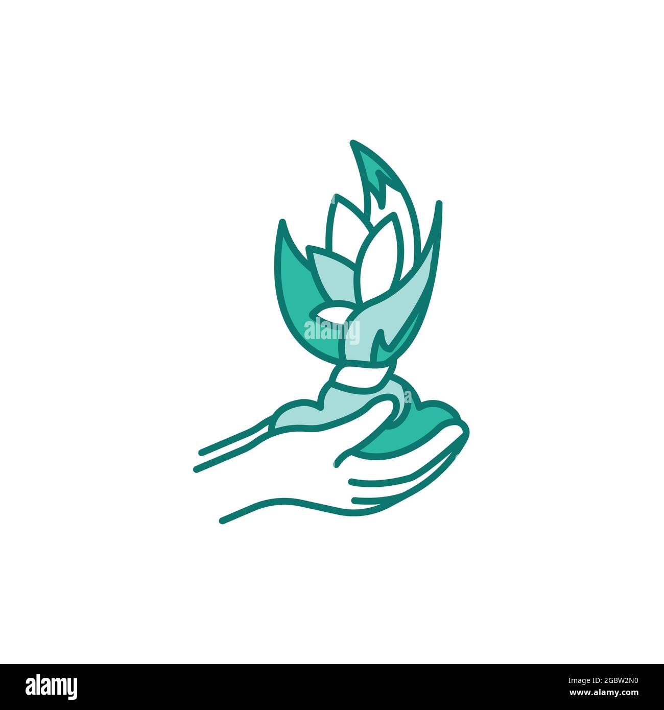 Plant care color line icon. Pictogram for web page, mobile app, promo ...