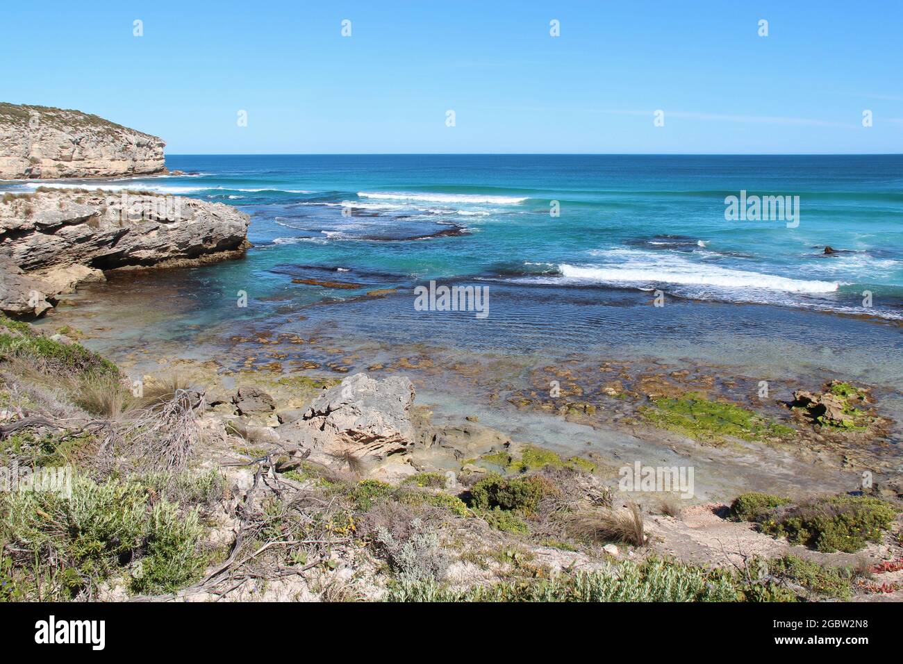 île kangourou hi-res stock photography and images - Alamy