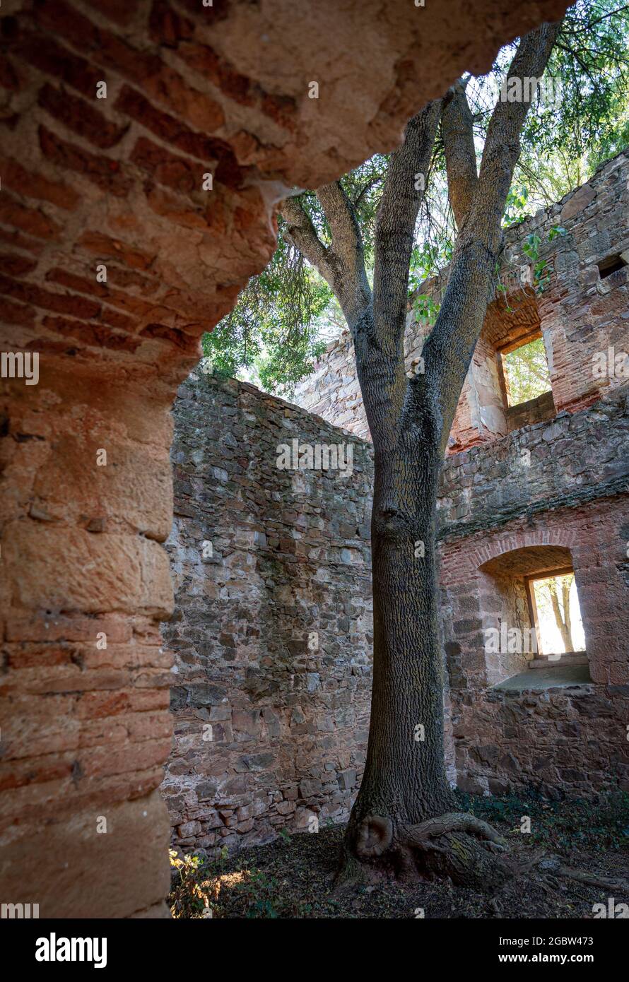 Grown building hi-res stock photography and images - Alamy