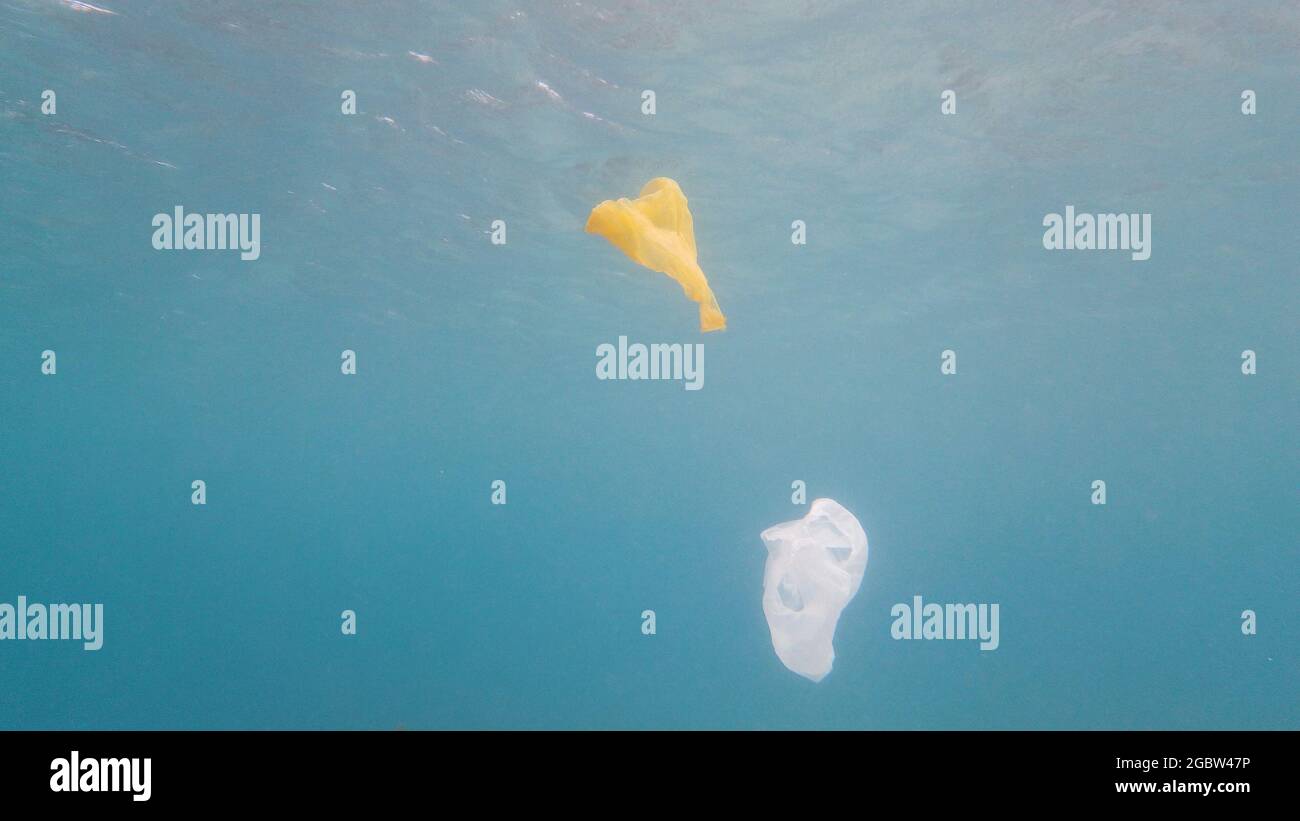 Plastic bag floating in clear water in the sea. Ecological problem ...