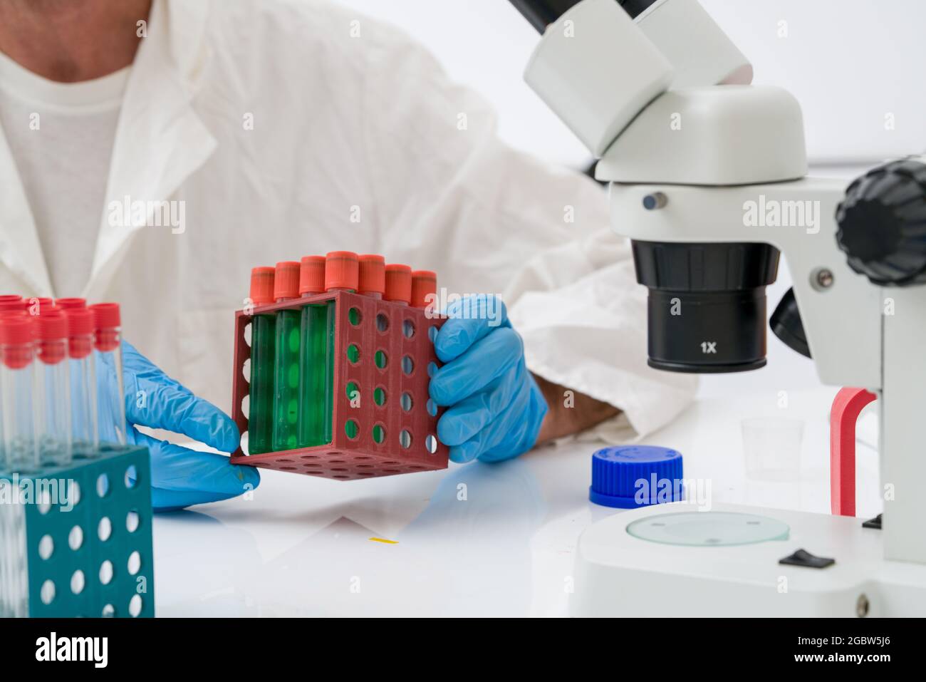 Scientific experiment in the laboratory of the metabolism of living ...