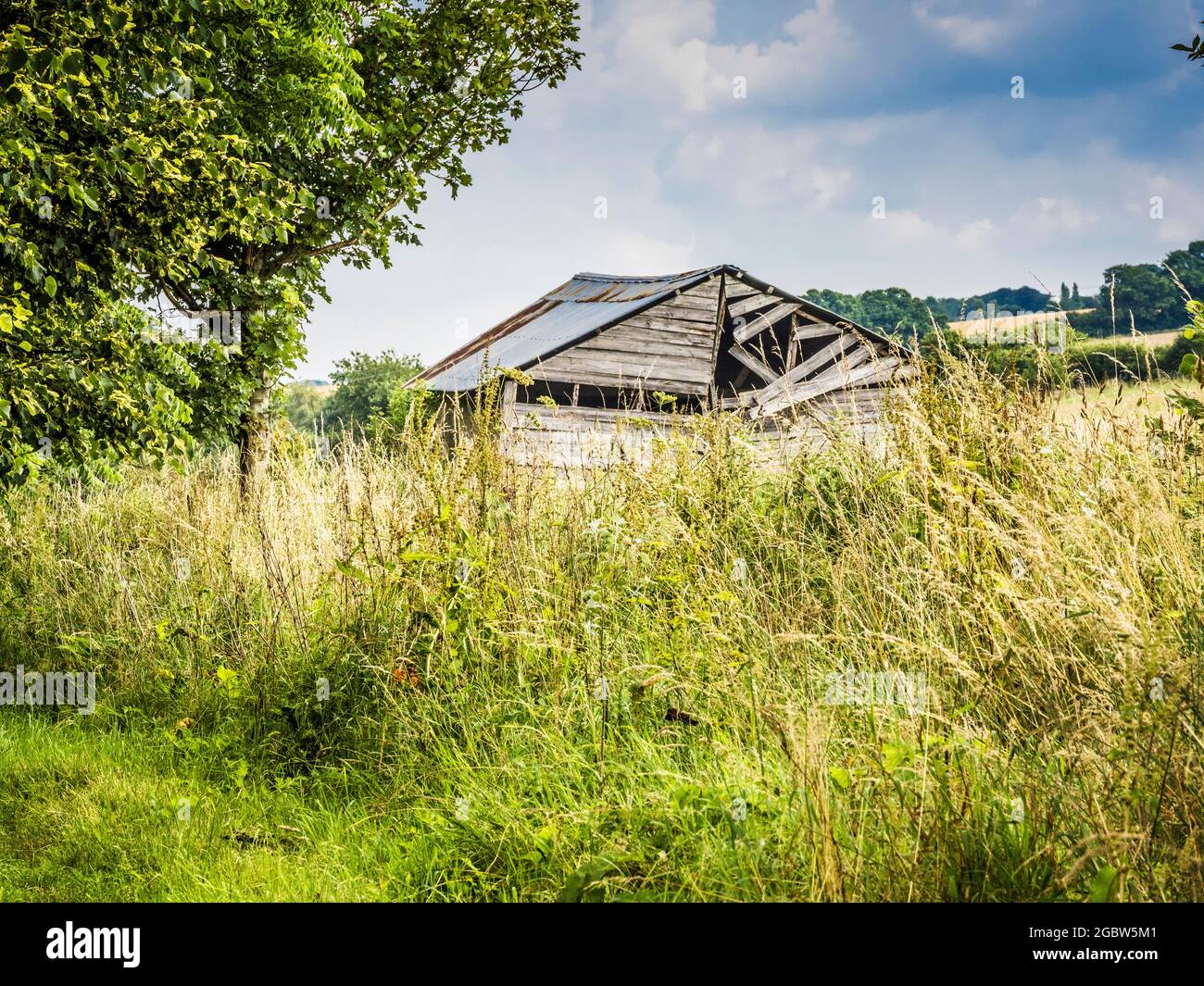 Old abandoned barn in a field hi-res stock photography and images - Alamy