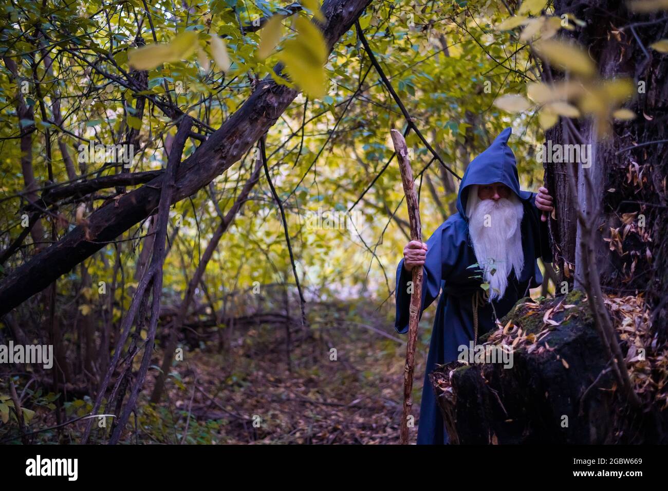 Goth legend hi-res stock photography and images - Alamy