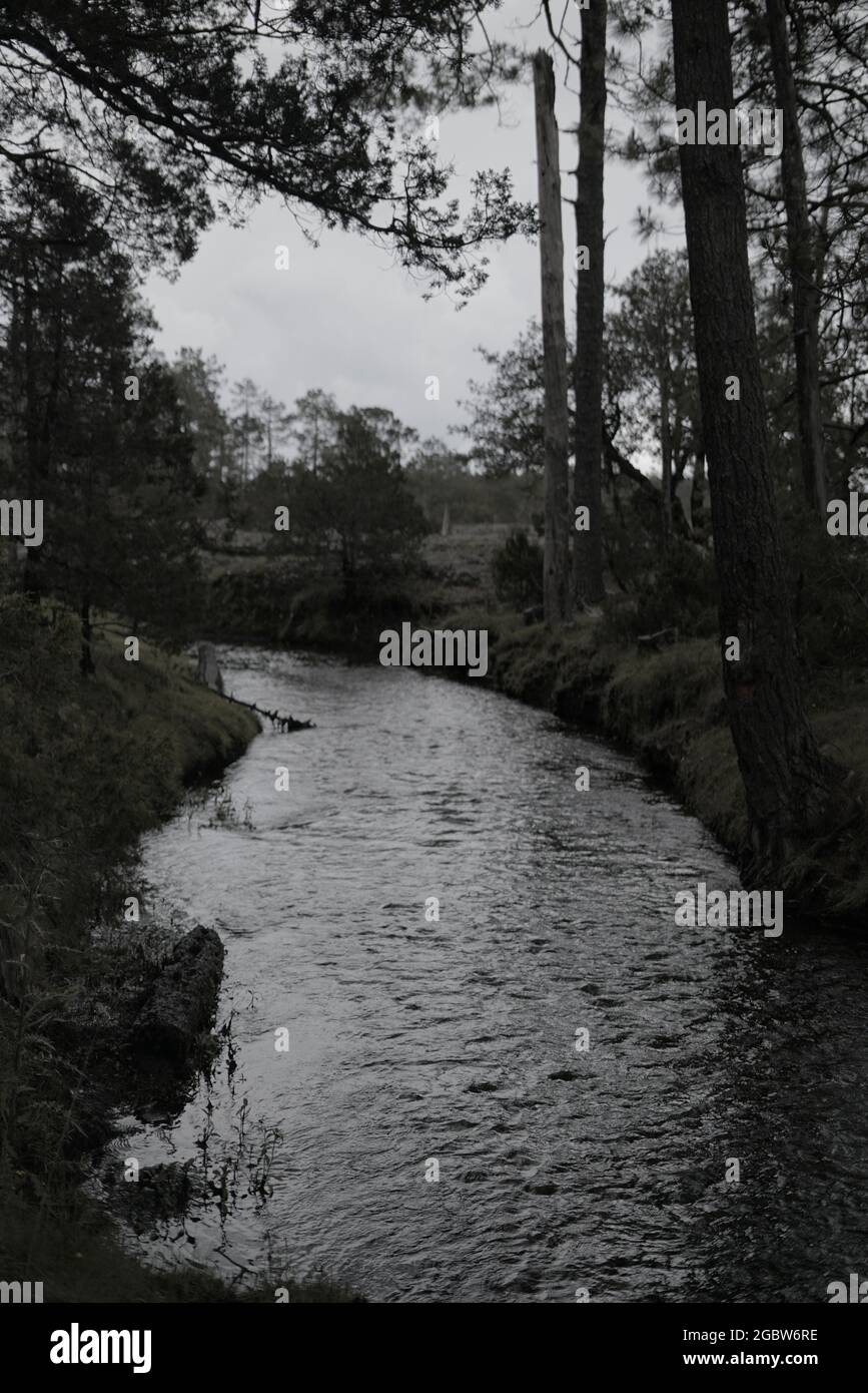 Photograph of a riverbed Stock Photo - Alamy