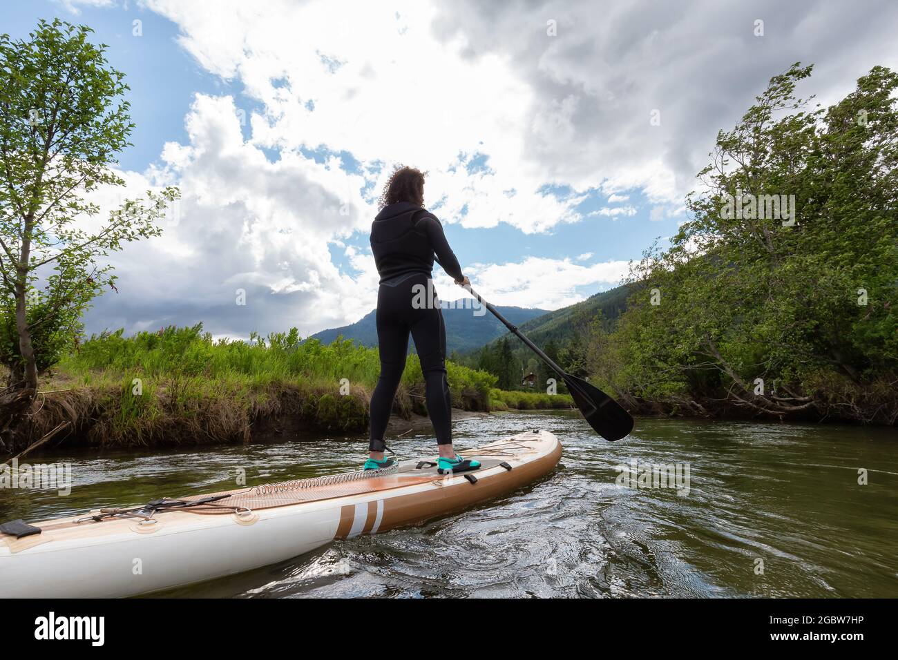 Adventurous Caucasian Woman paddle boarding on The River of Golden ...
