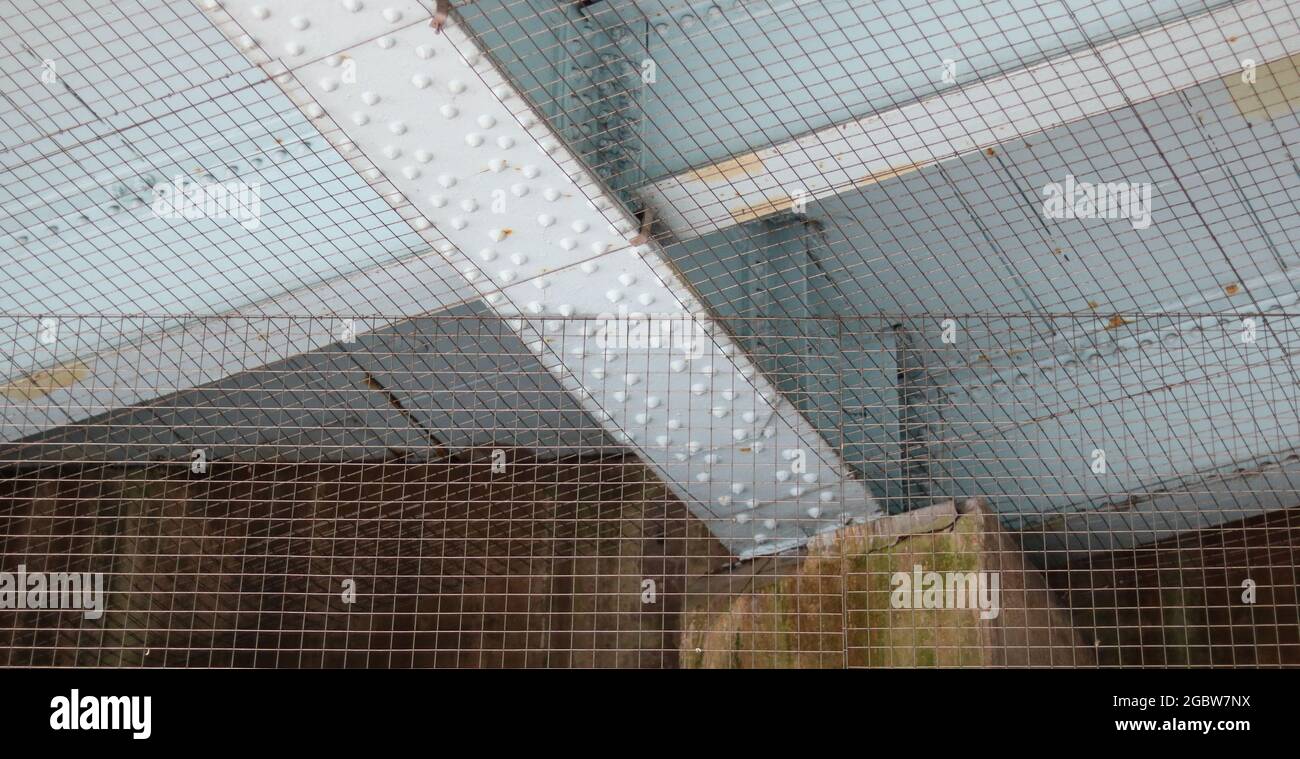 Underside of metal railway bridge showing nuts and bolts and pigeon ...