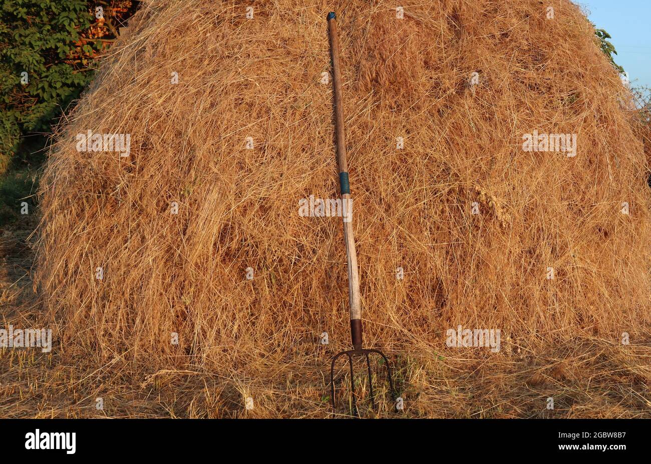 Beautiful rural background with haystack. Dry grass texture Stock Photo ...