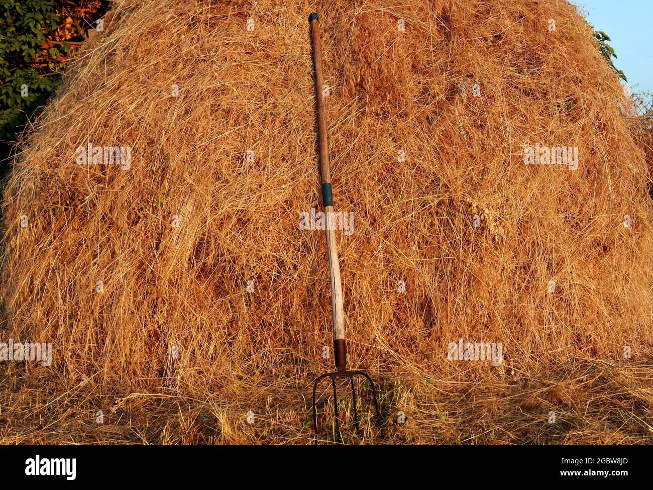 Beautiful rural background with haystack. Dry grass texture Stock Photo ...