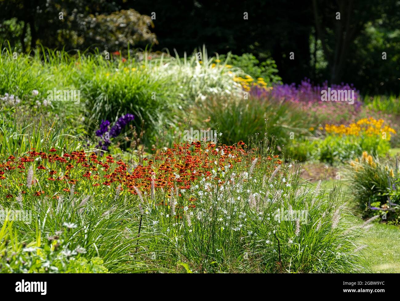 Garden influenced by the philosophy of naturalistic planting, with ...