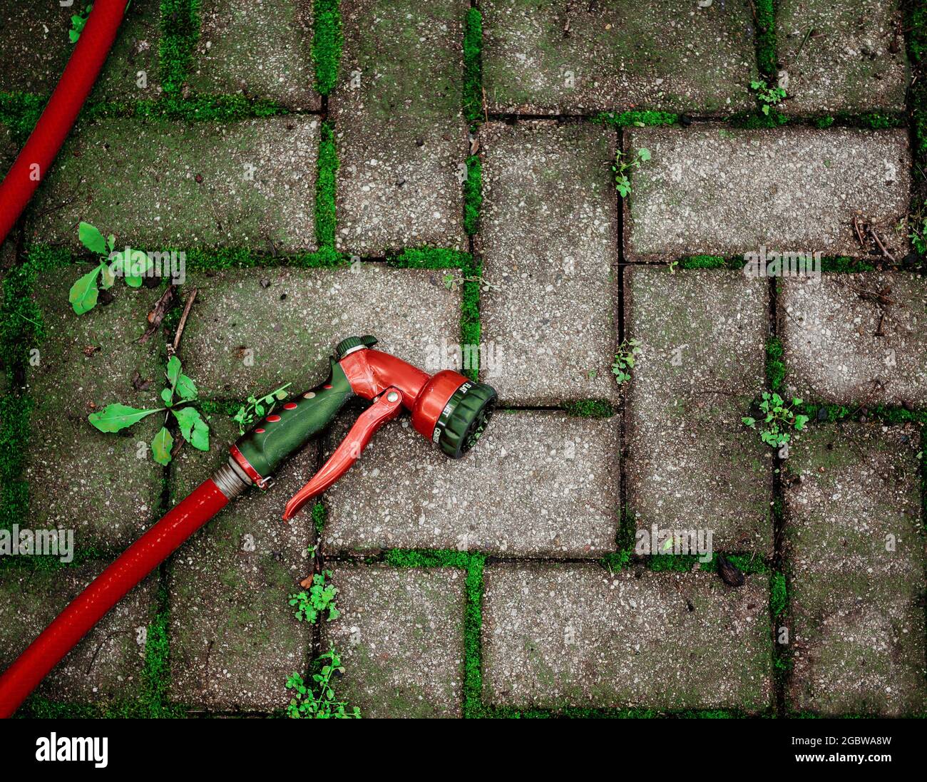 Top view of a red spraying hose on a garden pavement Stock Photo - Alamy