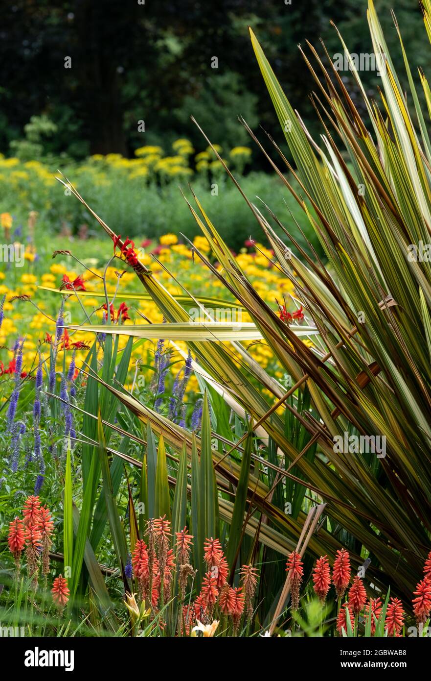 Garden influenced by the philosophy of naturalistic planting, with ...