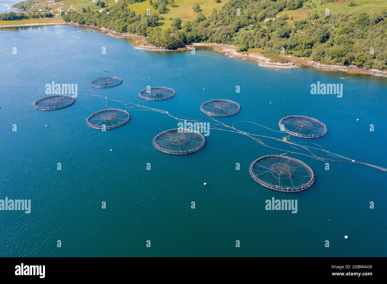 Aquaculture fish farm hi-res stock photography and images - Alamy