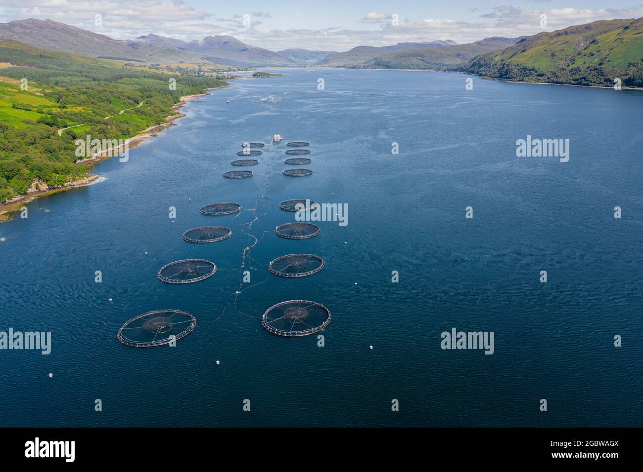 Aquaculture fish farm hi-res stock photography and images - Alamy