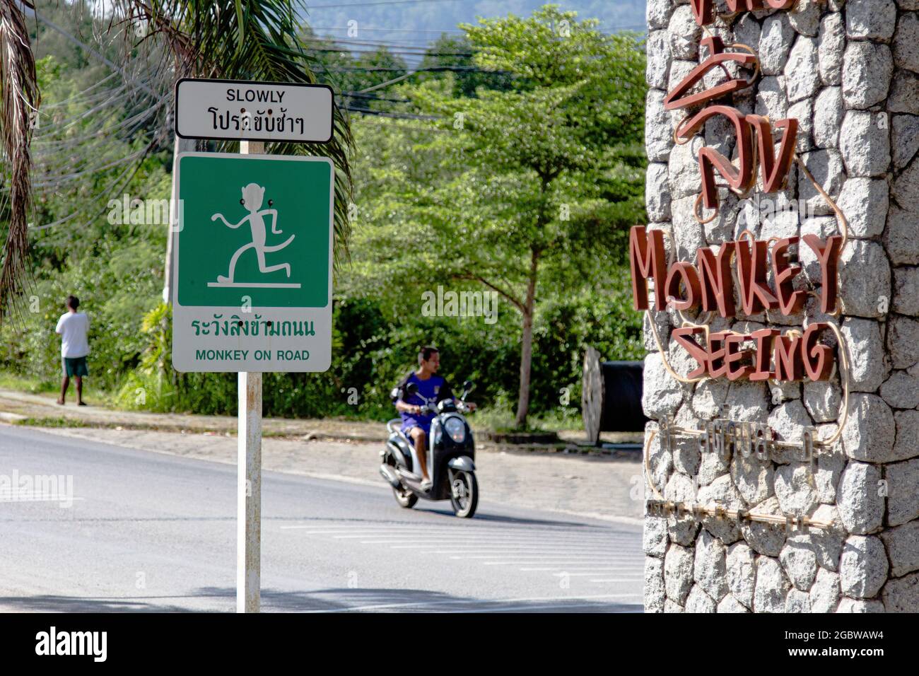 Monkey bridge hi-res stock photography and images - Alamy