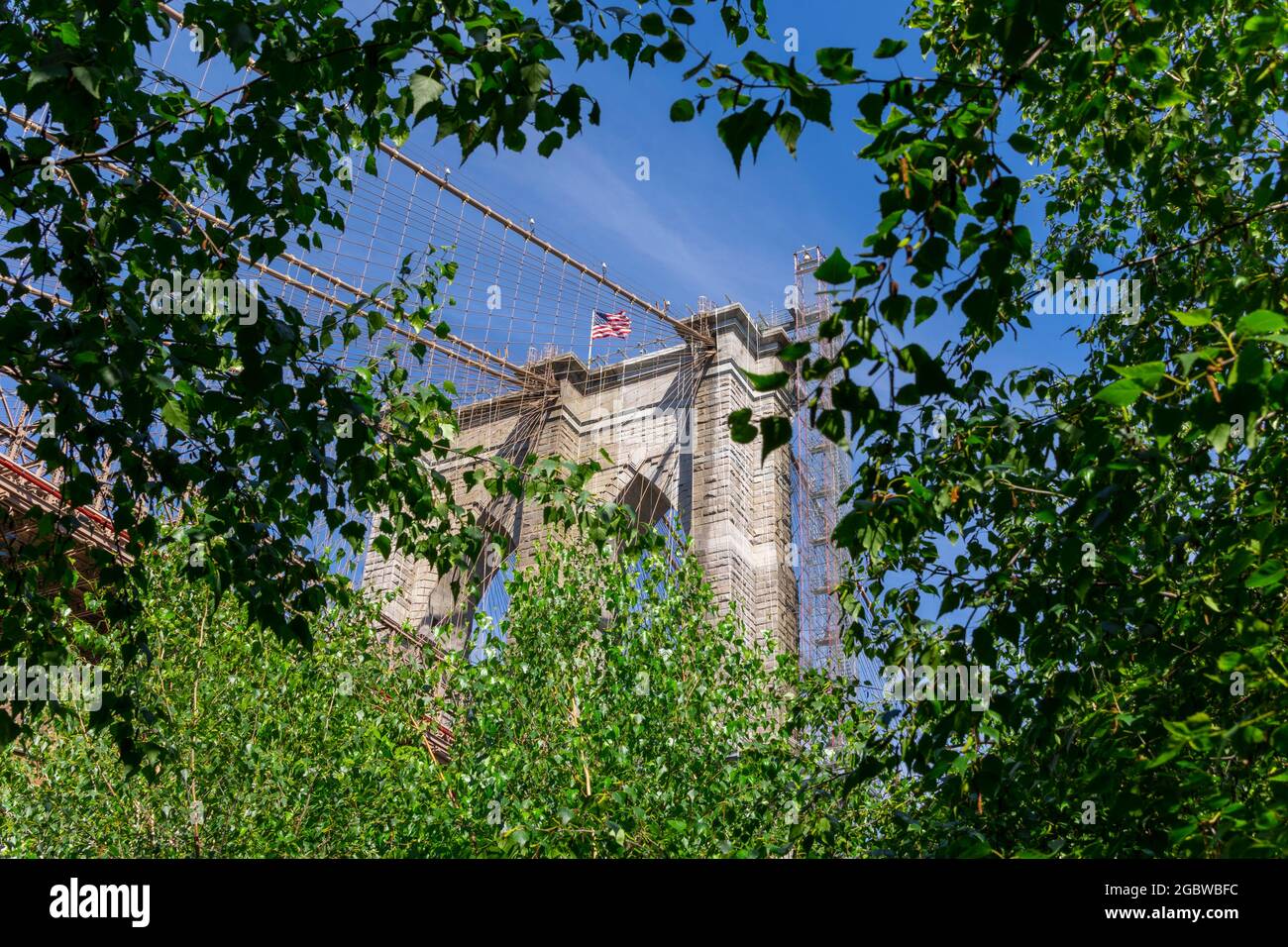 View of the Brooklyn Bridge through growing trees in Brooklyn Bridge ...