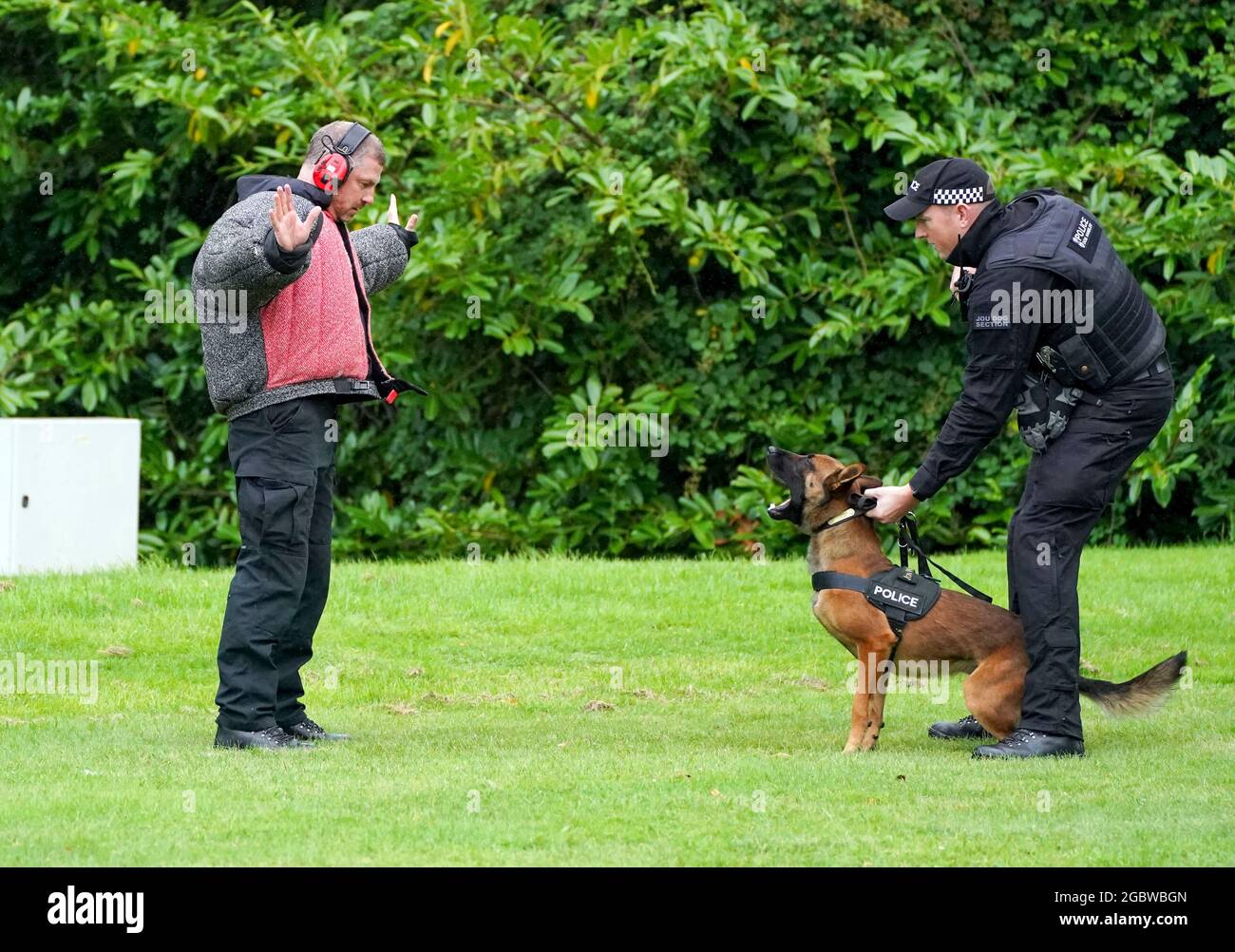 Kent police dog hi-res stock photography and images - Alamy