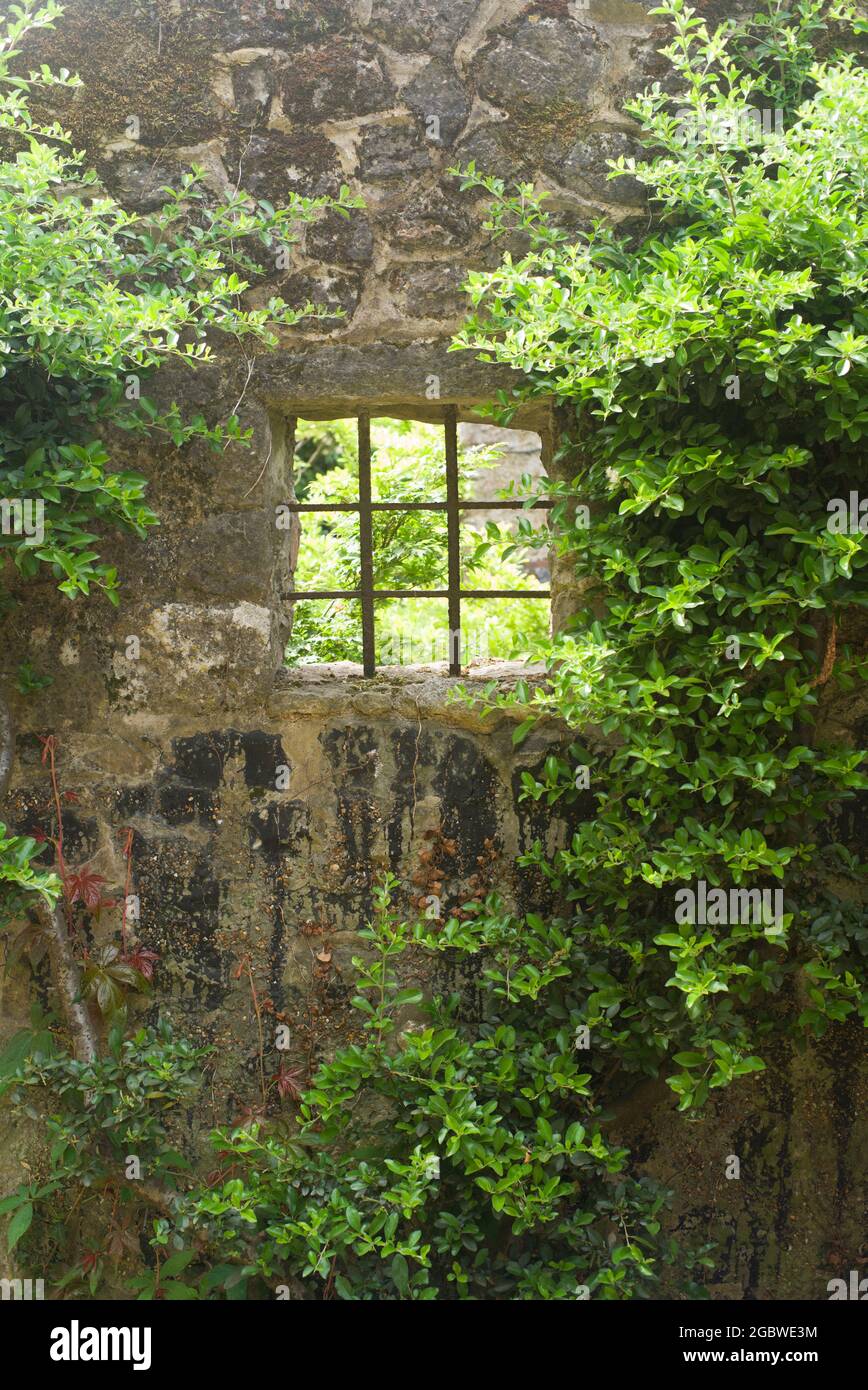 Castle wall window Stock Photo - Alamy