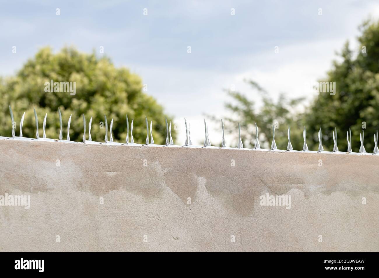 Sharp jaws in the wall for residential protection Stock Photo - Alamy