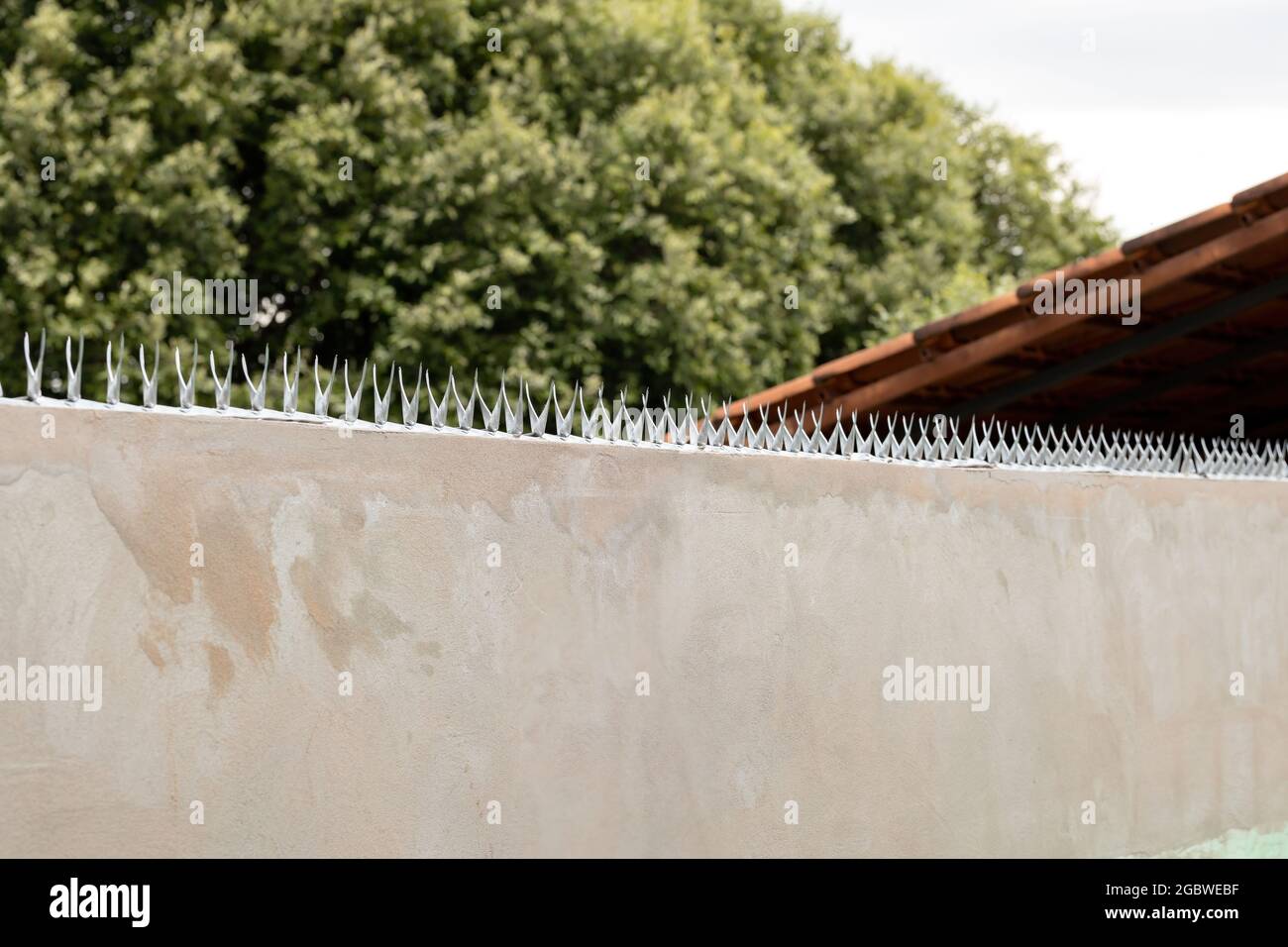 Sharp jaws in the wall for residential protection Stock Photo - Alamy