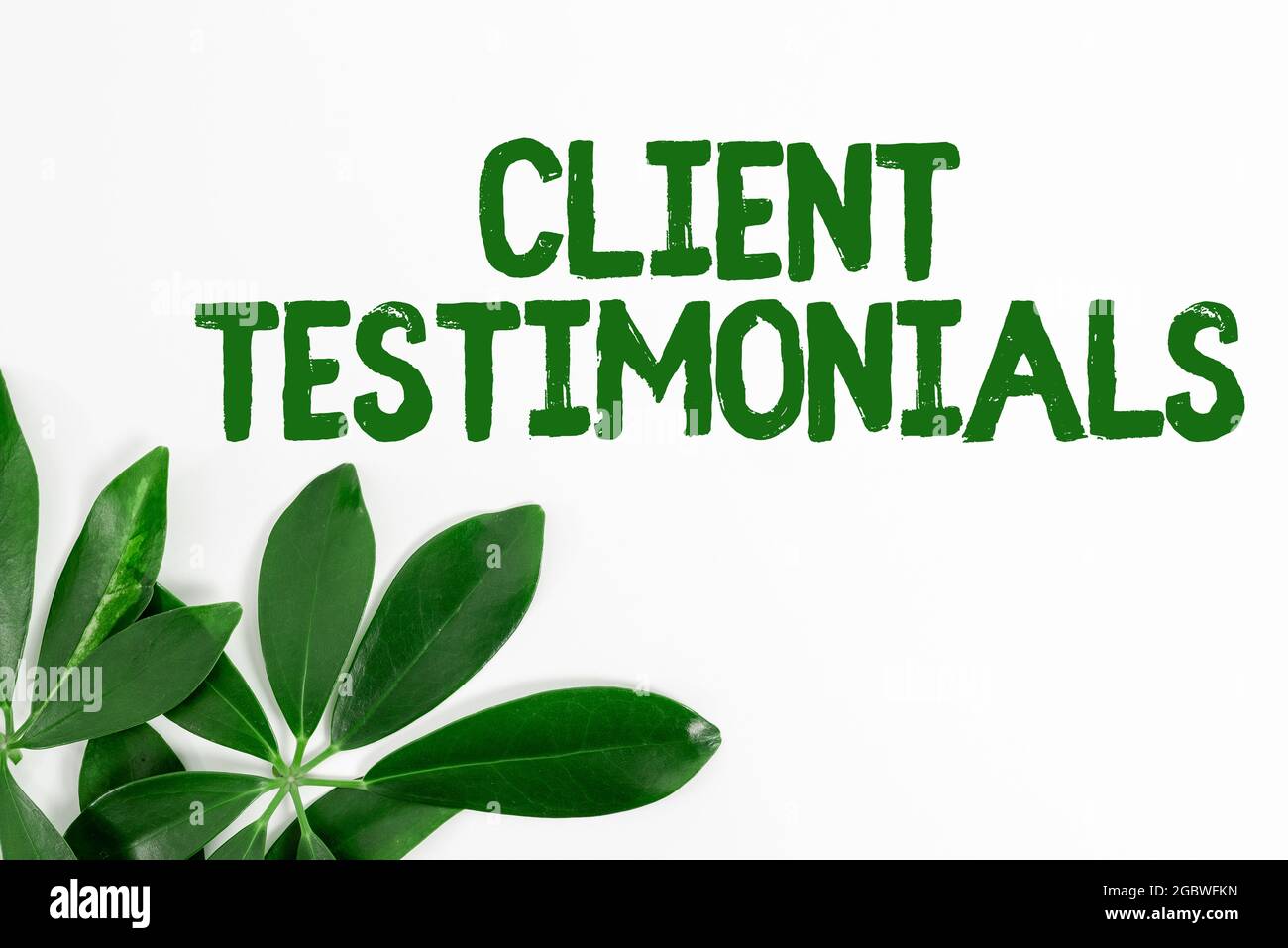 Conceptual caption Client Testimonials. Business approach Written ...