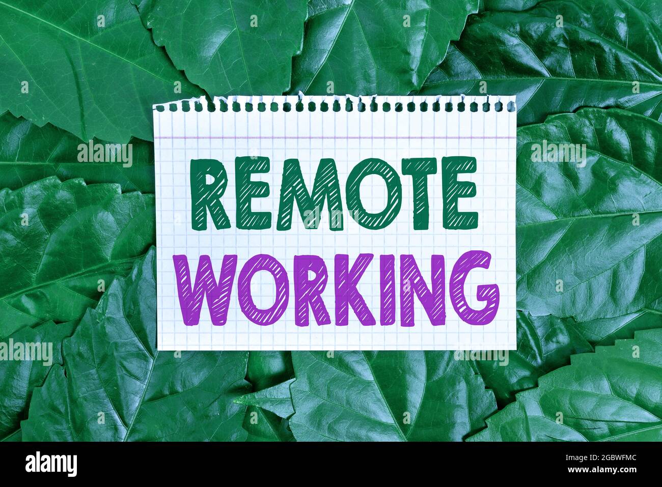 Inspiration showing sign Remote Working. Business concept style that ...