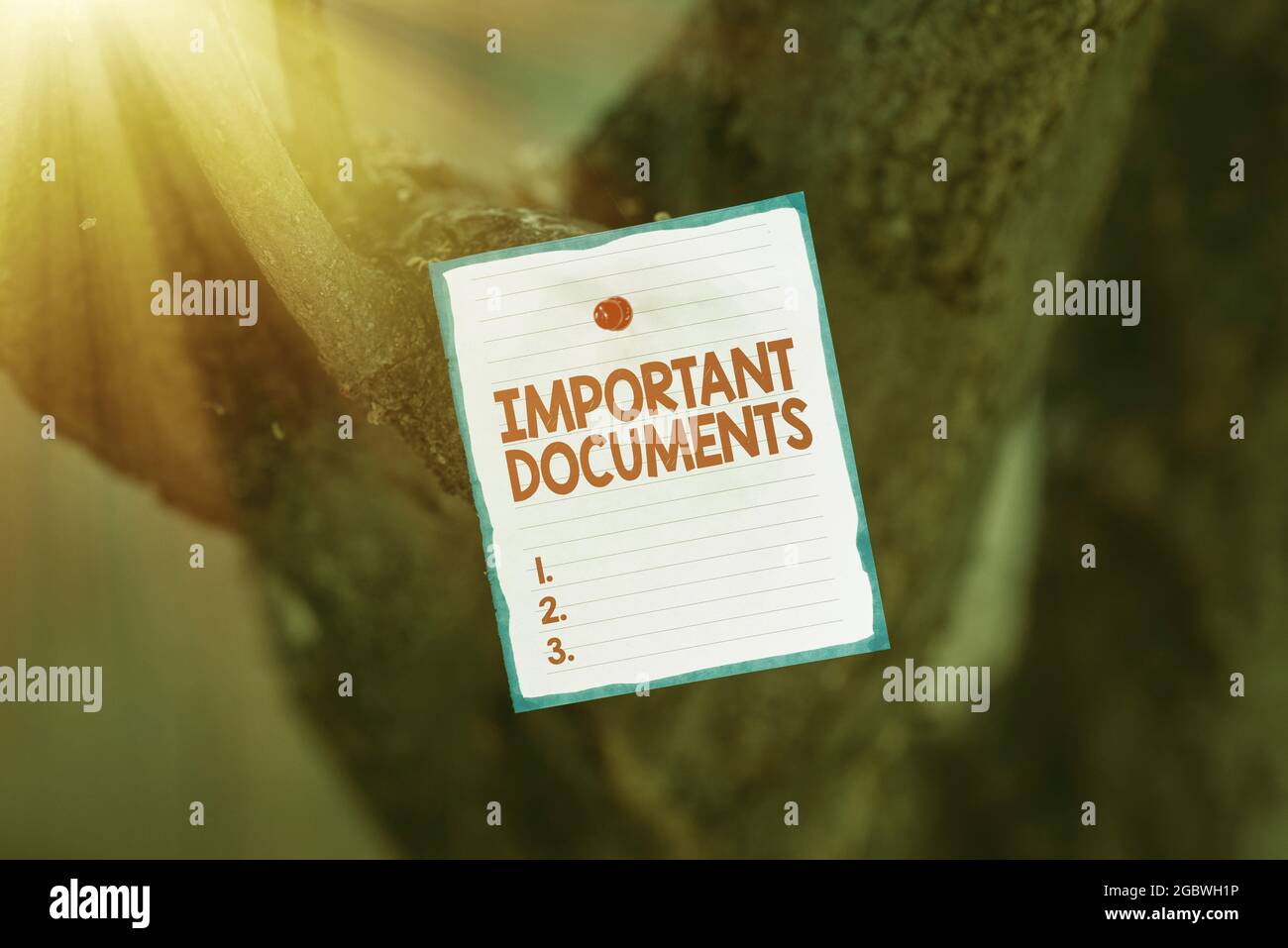 Inspiration showing sign Important Documents. Conceptual photo more ...