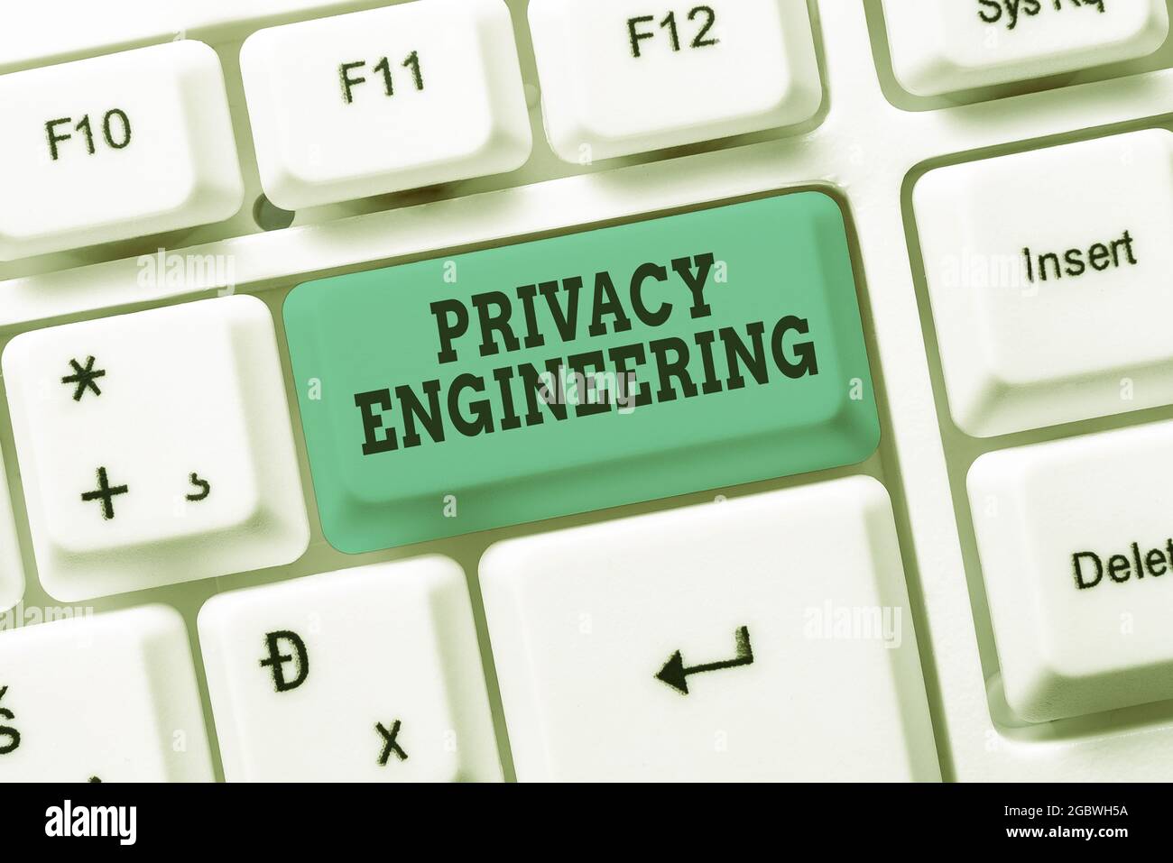 Conceptual caption Privacy Engineering. Word for engineered systems ...
