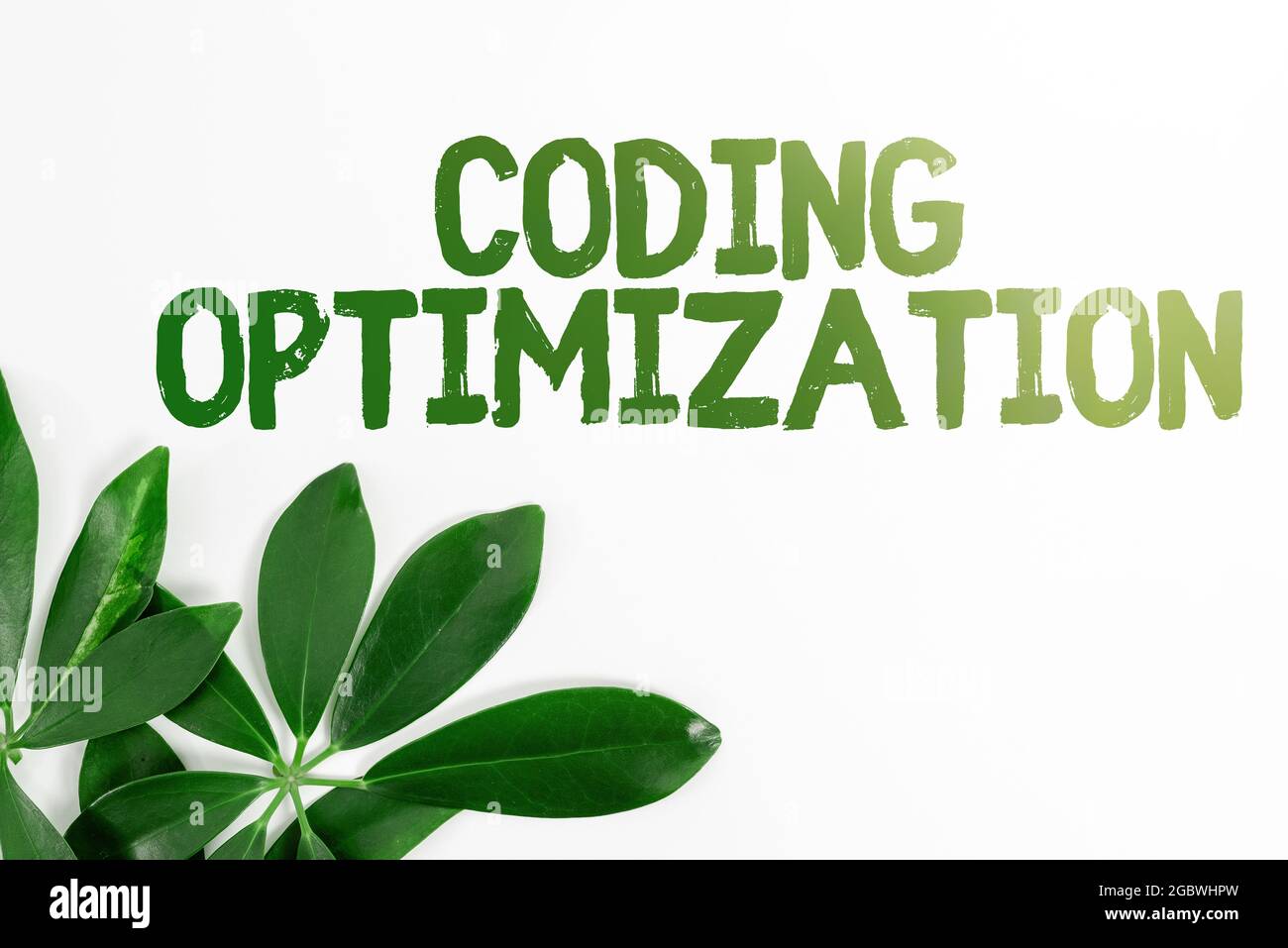 Text Showing Inspiration Coding Optimization Business Showcase Method Of Code Modification To