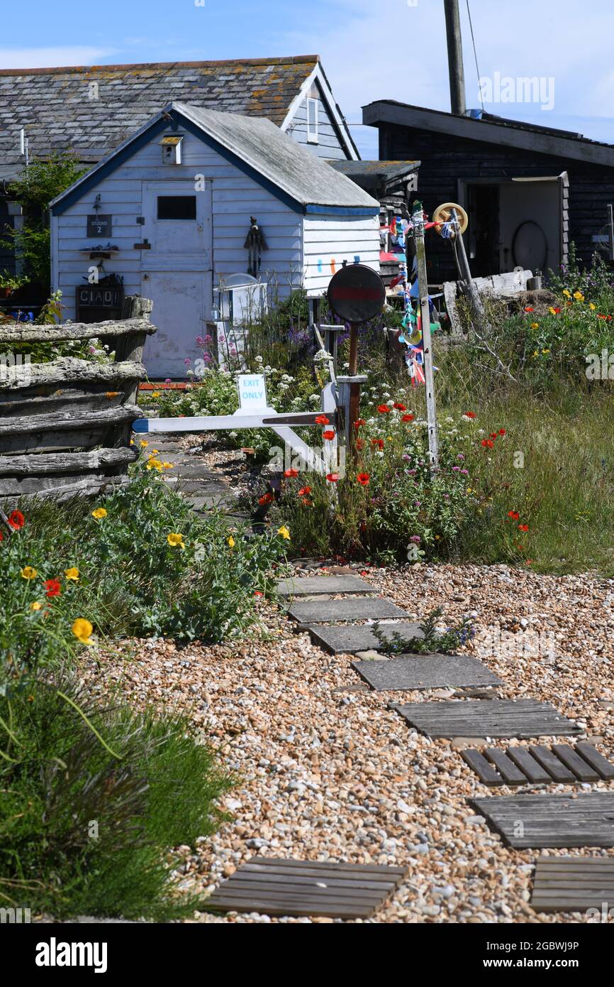 Wildflowers on shingle beach hi-res stock photography and images - Alamy