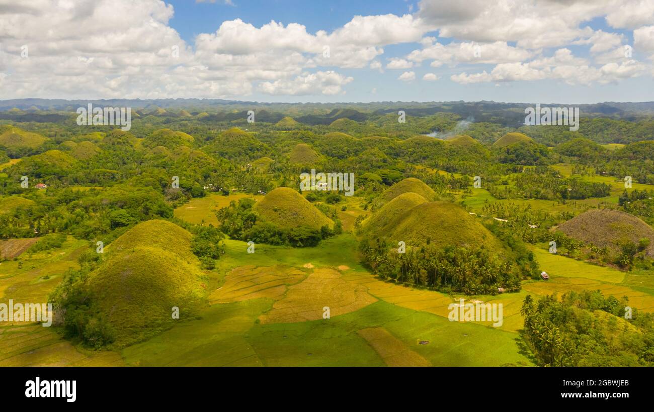 Tropical landscape: Chocolate hills is a famous tourist attraction on ...