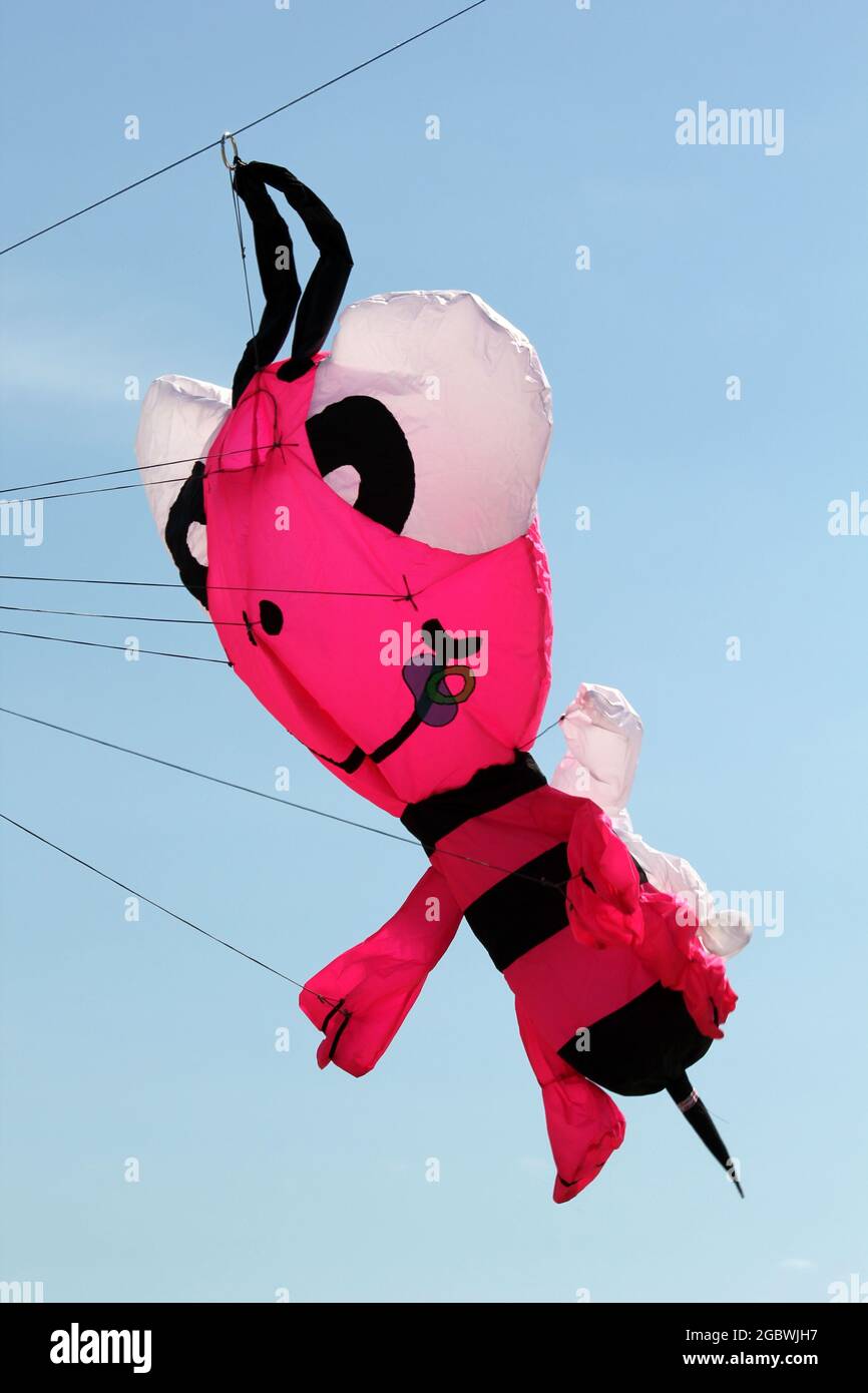 Closeup shot of a flying kite of the pink bee with big eyes in the sky ...