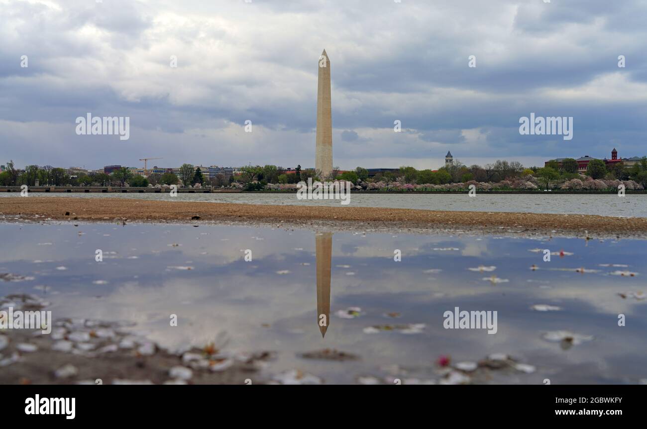WASHINGTON, DC -1 APR 2021- View of the Washington Monument obelisk by ...