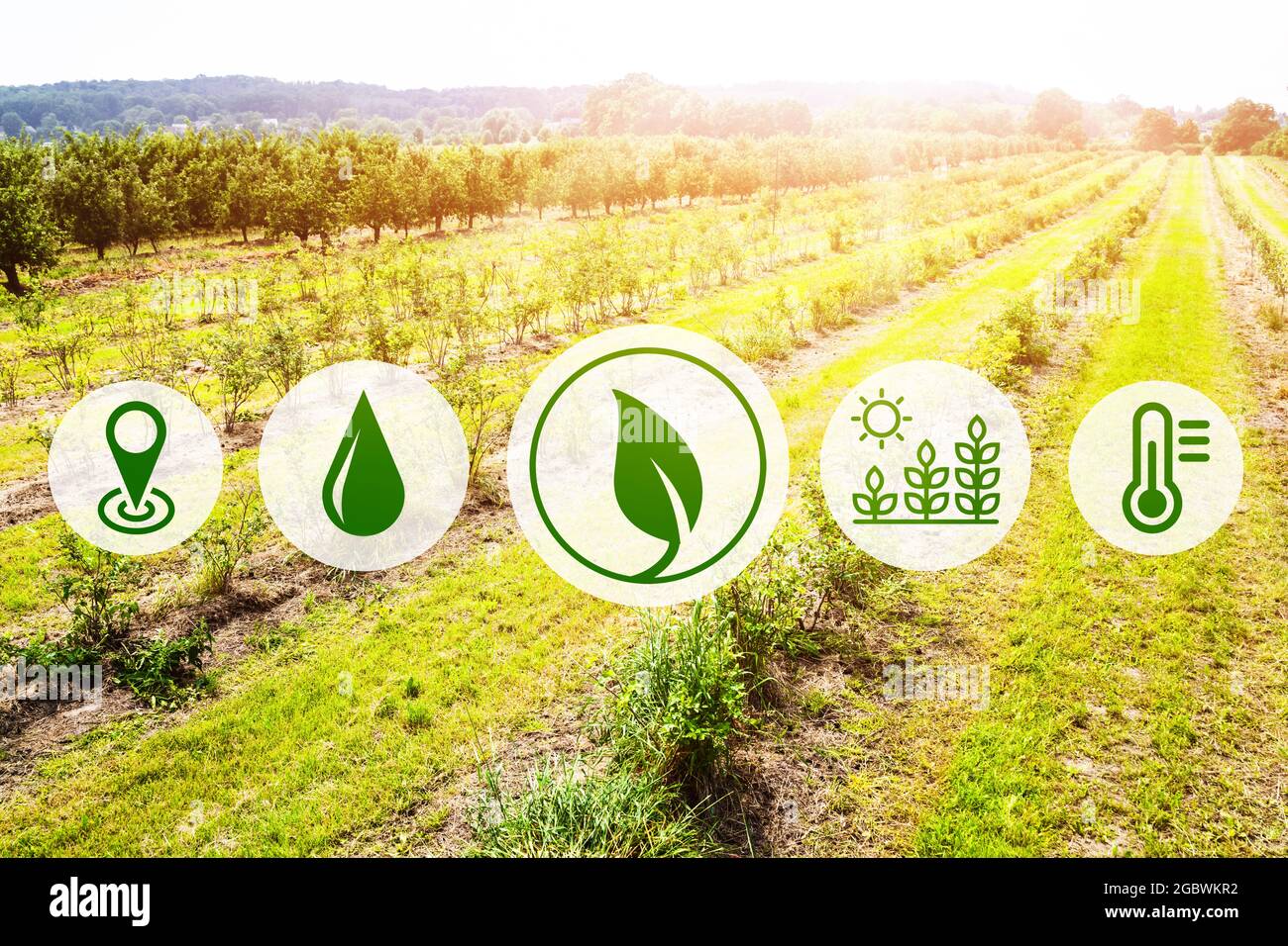 Agriculture E Farm Monitoring And Management Technology Stock Photo - Alamy