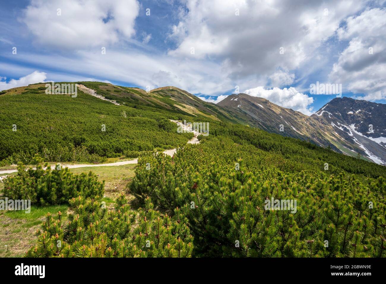 Slovak hills hi-res stock photography and images - Alamy