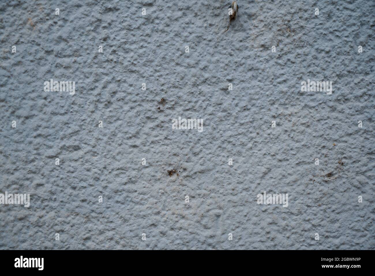 Plaster render as a background with strong structure, Mineral ...
